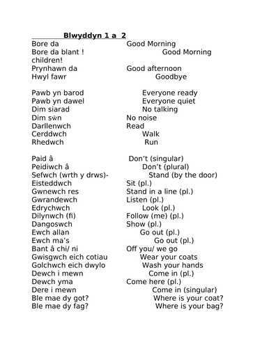 Homeschooling for years 1 and 2 WELSH MEDIUM vocabulary and phrases ...