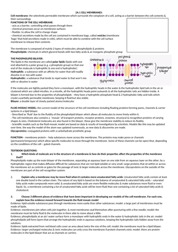 Biology - International Edexcel AS Level Revision Notes | Teaching ...