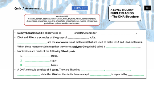 The DNA structure - Worksheet / Assessment - A level BIOLOGY | Teaching ...