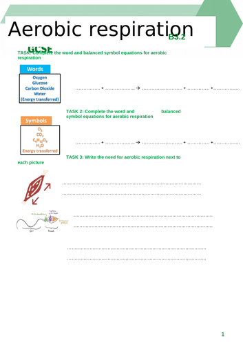 Aerobic Respiration | Teaching Resources