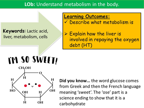 Metabolism and the Liver | Teaching Resources