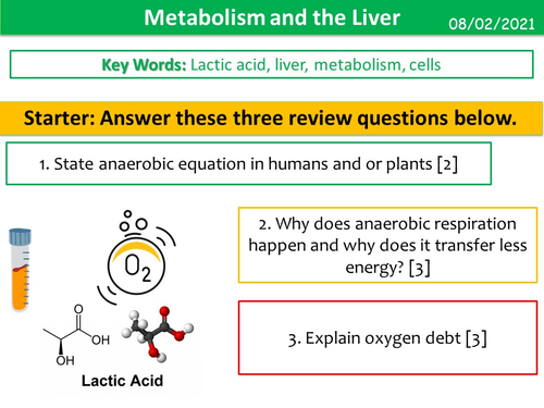 Metabolism and the Liver | Teaching Resources
