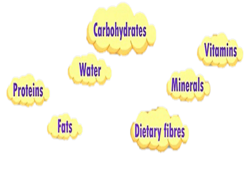 Science Healthy Eating Lesson | Teaching Resources