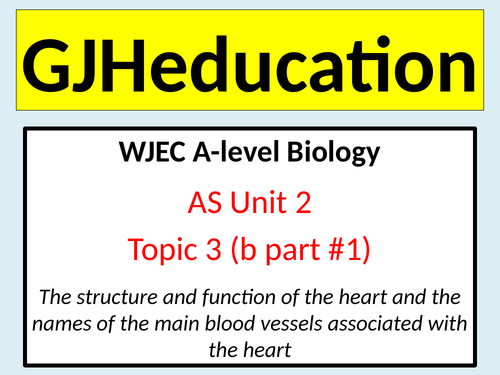 Human heart (WJEC A-level Biology) | Teaching Resources