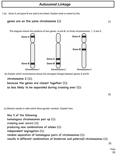 Autosomal linkage worksheet A2 Biology AQA | Teaching Resources