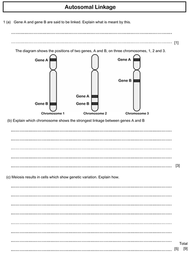 Autosomal linkage worksheet A2 Biology AQA | Teaching Resources