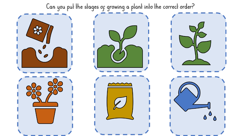 Growth in EYFS | Teaching Resources