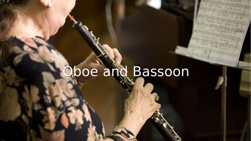 Woodwind Instruments for Online Learning | Teaching Resources
