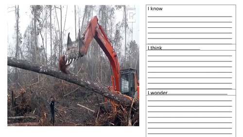 2 week English Plan KS1: Stuck by Oliver Jeffers | Teaching Resources