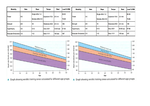 GCSE PE- Calculating Intensities & Injury Prevention | Teaching Resources