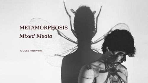 GCSE Art Digital Sketchbook - Metamorphosis | Teaching Resources