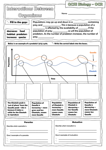 GCSE Biology - Interactions Between Organisms Worksheet + Answer Sheet ...