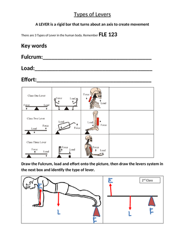 Levers in Sport. A practice worksheet | Teaching Resources
