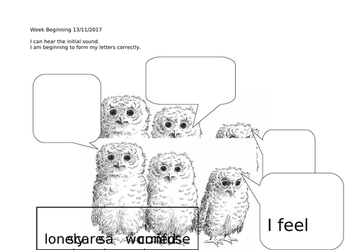 Owl Babies Reception 2 Week Planning | Teaching Resources