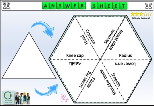 Skeletal System Digital Puzzles | Teaching Resources