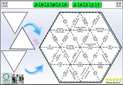 Skeletal System Digital Puzzles | Teaching Resources