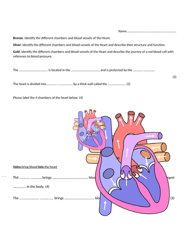 AQA GCSE PE CARDIOVASCULAR SYSTEM POWERPOINT AND WORKBOOK | Teaching ...