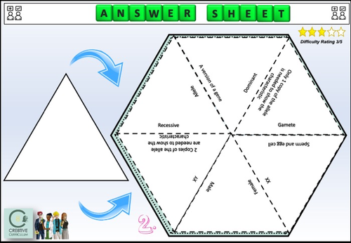 Evolution and Genetics Digital Puzzles | Teaching Resources