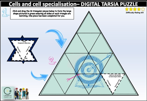 Exchanging Substances and Cells Digital Puzzles | Teaching Resources