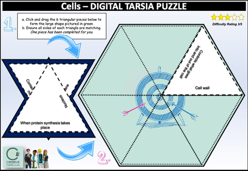Exchanging Substances and Cells Digital Puzzles | Teaching Resources