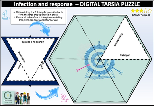 Organs Disease and Immune Response Digital Puzzles | Teaching Resources