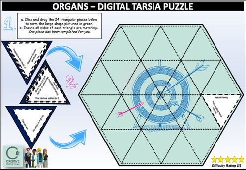 Organs Disease and Immune Response Digital Puzzles | Teaching Resources
