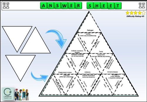 Organs Disease and Immune Response Digital Puzzles | Teaching Resources