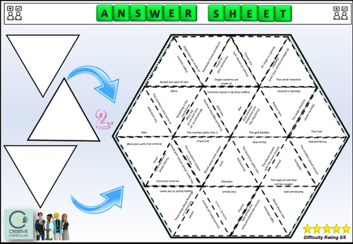 Organs Disease and Immune Response Digital Puzzles | Teaching Resources