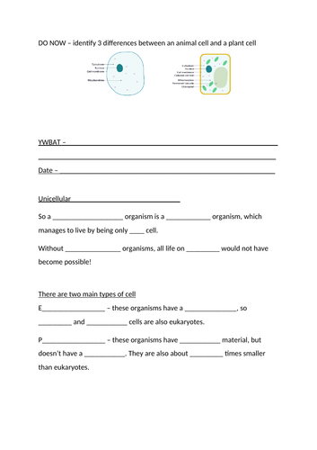 KS3 Science - Year 7: Organisms | Teaching Resources