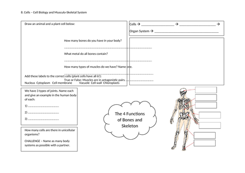 KS3 Science - Year 7: Organisms | Teaching Resources
