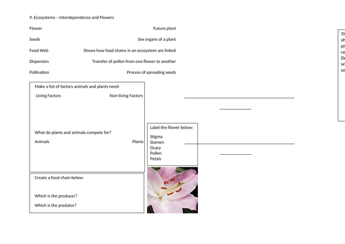 KS3 Science - Year 7: Ecosystems | Teaching Resources