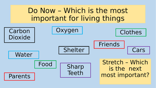KS3 Science - Year 7: Genes | Teaching Resources