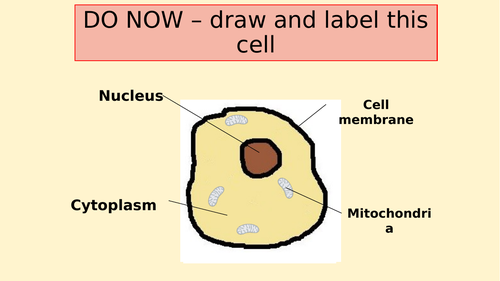KS3 Science - Year 7: Genes | Teaching Resources