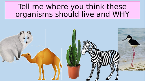 KS3 Science - Year 7: Genes | Teaching Resources