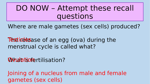 KS3 Science - Year 7: Genes | Teaching Resources