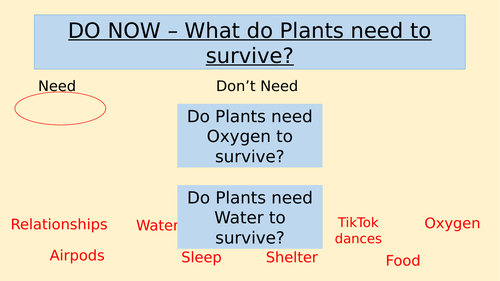 KS3 Science - Year 8: Ecosystems | Teaching Resources