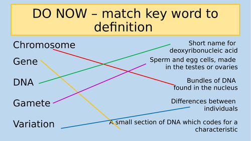 KS3 Science - Year 8: Genes | Teaching Resources