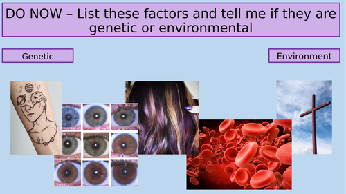KS3 Science - Year 8: Genes | Teaching Resources