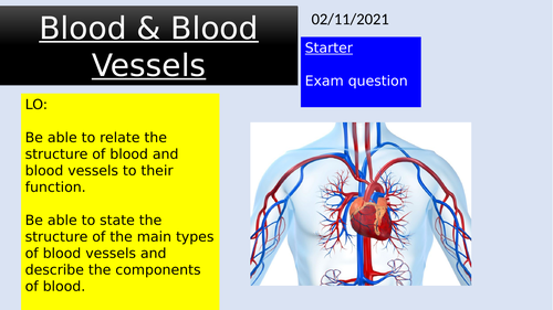 AQA GCSE Blood and Blood Vessels | Teaching Resources