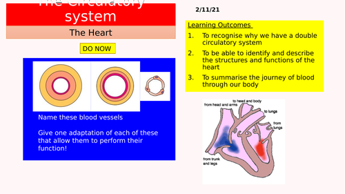 AQA GCSE The heart | Teaching Resources