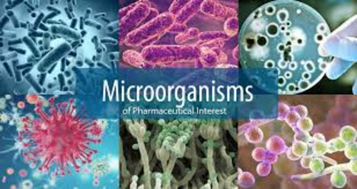 Diseases caused by microorganisms | Teaching Resources