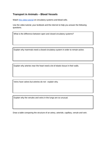 Transport in Animals - Blood Vessels | Teaching Resources