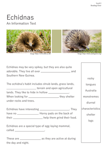 Australian Animals Information Texts | Teaching Resources