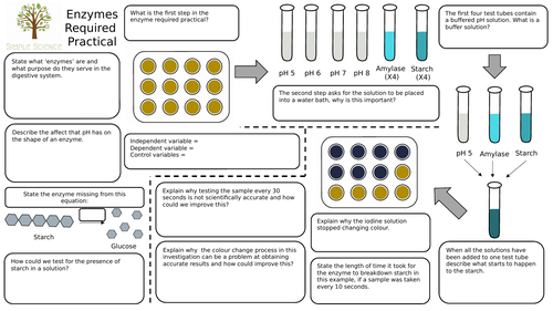 Enzymes Required Practical Mat - AQA GCSE Biology | Teaching Resources