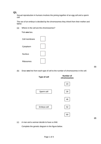 sex determination | Teaching Resources