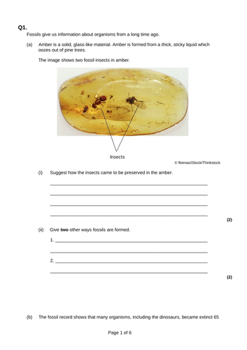Fossils and Extinction | Teaching Resources