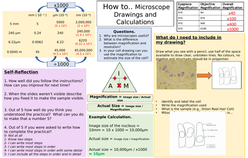 GCSE Microscope Support Mat | Teaching Resources