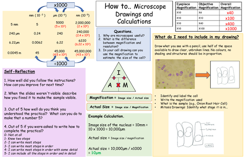 GCSE Microscope Support Mat | Teaching Resources