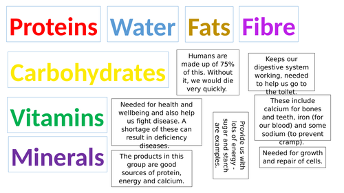 Starter activity for introducing food groups | Teaching Resources