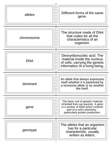 inheritance /biology year 10-11 | Teaching Resources